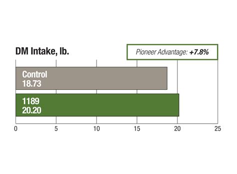 High Moisture Ear Corn
