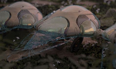 Meet Nini Chen Canvasrebel Magazine