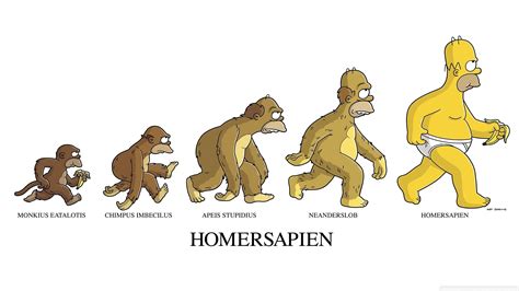 1980x1080 Homer Simpson Hd Wallpaper Rare Gallery