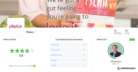plexus culture comparably
