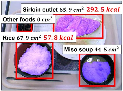 Figure 6 From A New Large Scale Food Image Segmentation Dataset And Its Application To Food