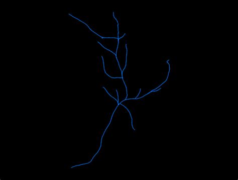 Detailed Cell Information Cure 9 24 40x Gfap Dapi Section 3 Ipsi02