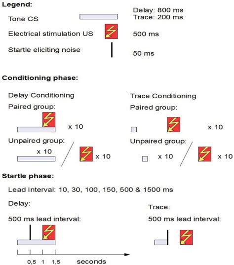 A Schematic Presentation Of The Structure Of Experiment The Experiment