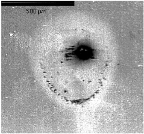 Sem Microscope Analysis Of The Niobium Surface This Overview Of The