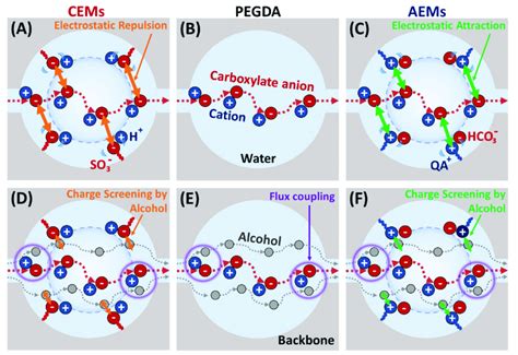 Schematic Depiction Of Carboxylate Salt Diffusion In Ad Cation