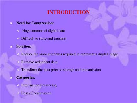 Fundamentals And Image Compression Models Pptx
