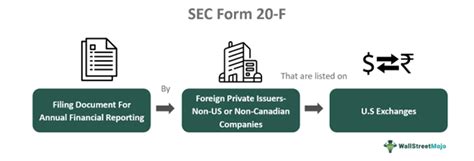 Sec Form 20 F Definition Examples