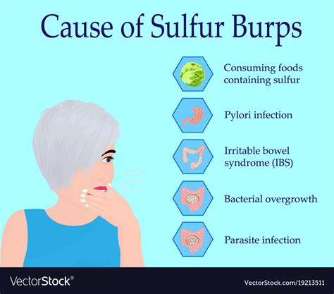 Causes Of Sulfur Burps Royalty Free Vector Image