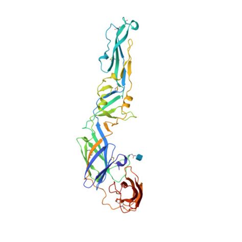 Rcsb Pdb 1svb Envelope Glycoprotein From Tick Borne Encephalitis Virus