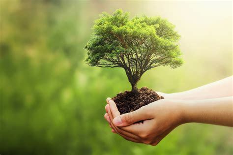 Sub Assembly Total Logistic Services