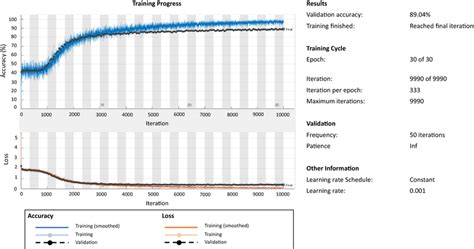 The Figure Shows The Evolution Of The Training Process And Some Download Scientific Diagram
