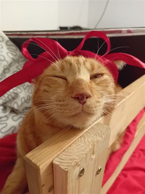 Fugos Lawyer On Tumblr