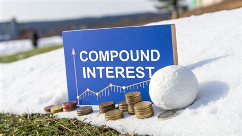 Understanding Compound Interest A Beginners Guide