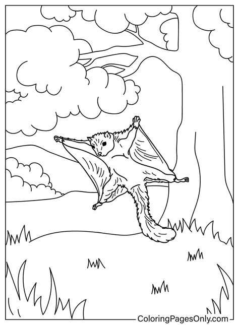 The Flying Squirrel Free Printable Coloring Pages