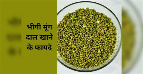 Health Tips Diabetes Patients Must Eat Soaked Moong Dal Benefits Of