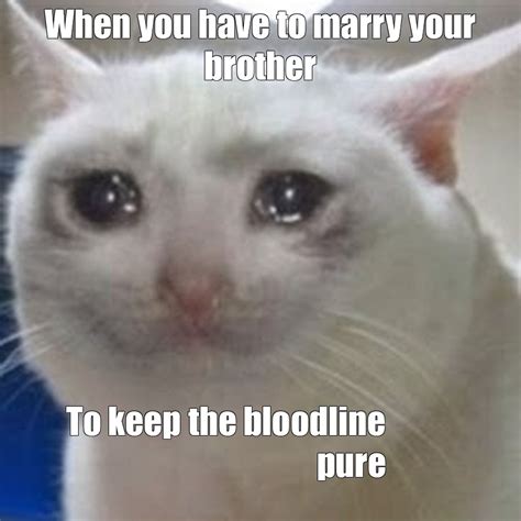Create Meme Sad Crying Cat Meme Pictures Without Text Sad Cat Meme