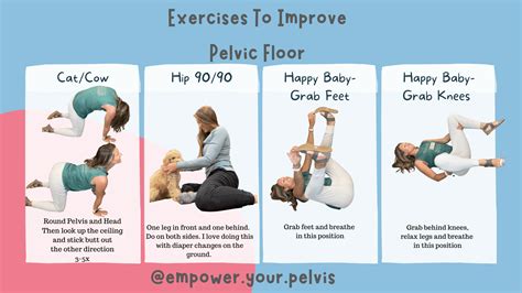 Best Pelvic Floor Strengthening Exercises For Seniors