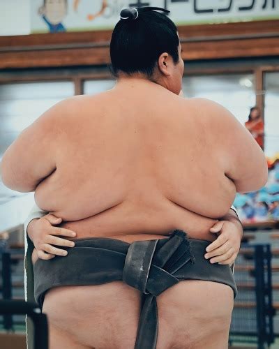 Sumo Back Tumbex