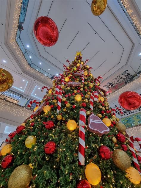 Giant Xmas Tree Wormand X27s Eye View Stock Image Image Of Xmas 2orms