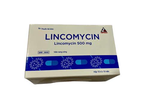 Lincomycin 500mg Vinphaco H100v