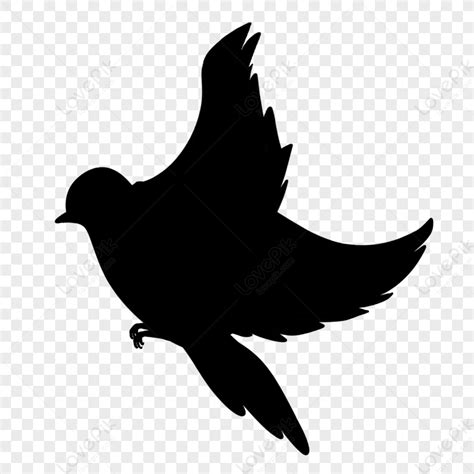 Colomba Volante Animata Colomba Bianca Volante Con Ramo Di Oliva