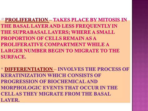 Microscopic Features Of Gingiva Ppt