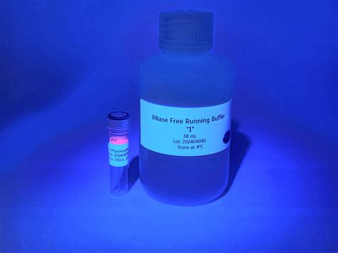 Streptavidin R Phycoerythrin For Lateral Flow Attogene
