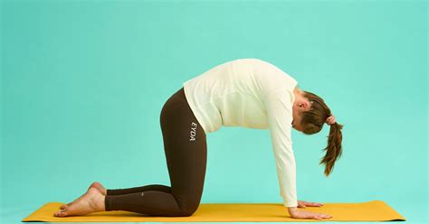 Katten Træning Til Lænden Video Iformdk