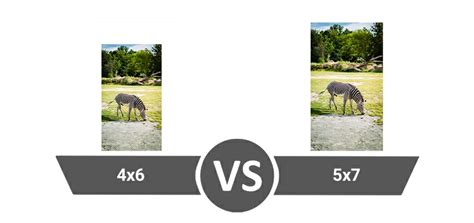 4x6 Photo Size Everything You Need To Know