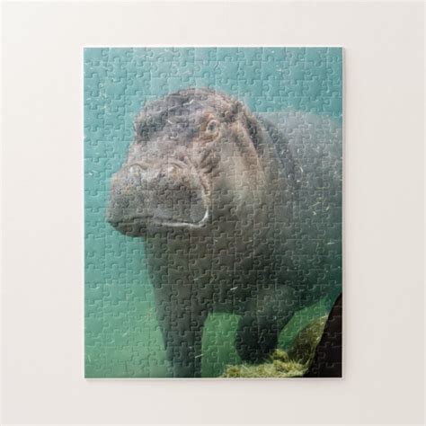 Hippo 4 Jigsaw Puzzle