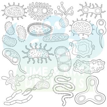 Bacteria Digital Stamps Lime And Kiwi Designs By Lime And Kiwi Designs