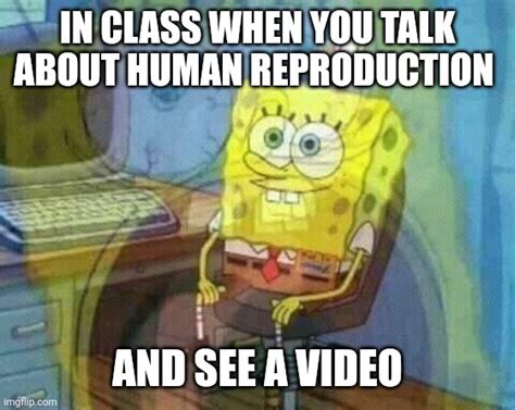 Im An Innocent Person Imgflip