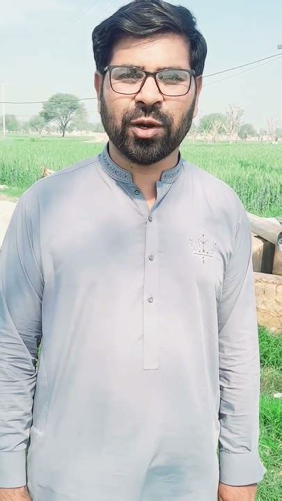 دوستی کی زینت کیا ہے Youtube