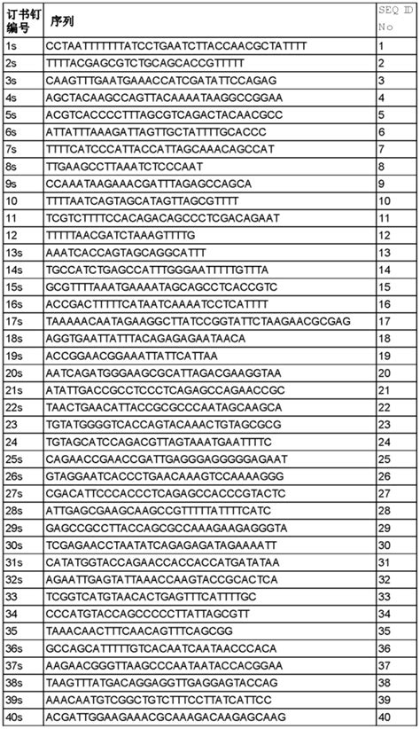 核酸结构的制作方法