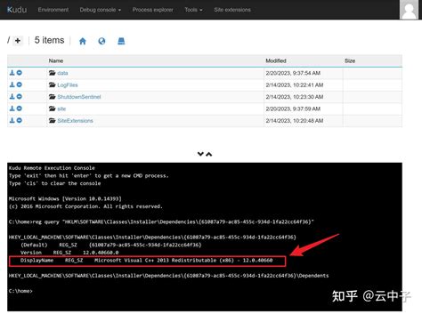 【azure 应用服务】azure app service windows 环境中如何让应用调用sap netweaver rfc函数