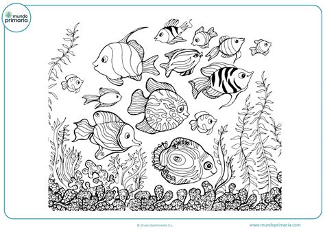 Dibujo De Pez Para Colorear Dibujos De Peces Para Imprimir Rmgd