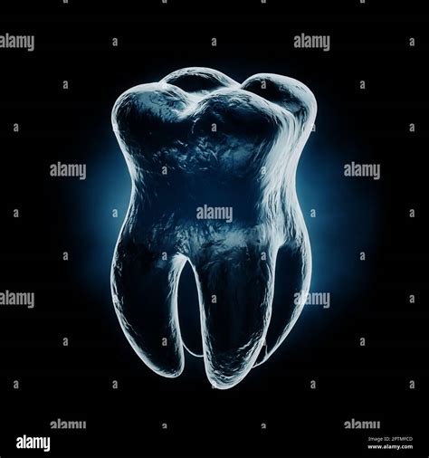 Medically Accurate Healthy Tooth X Ray View On A Black Background 3d