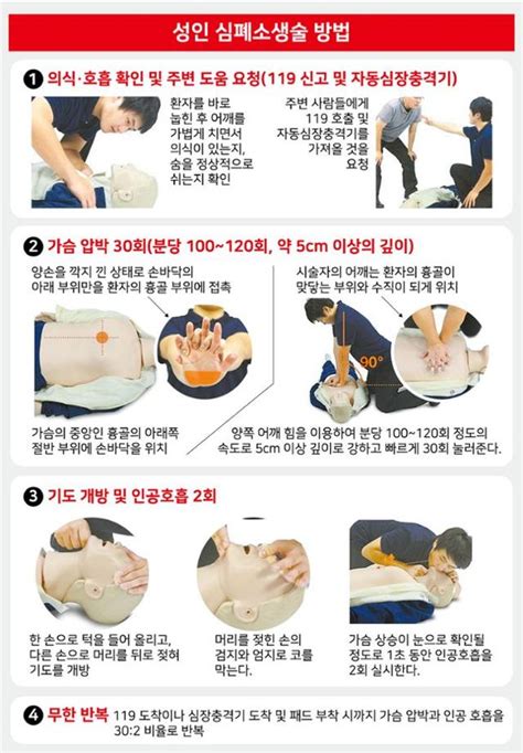 1명이라도 더 살렸더라면…이태원 참사에 높아진 Cpr 교육 관심 네이트 뉴스