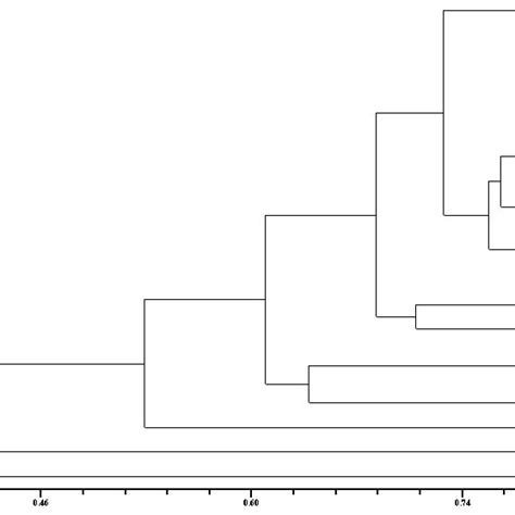 Upgma Dendrogram For 22 Faba Bean Accessions Determined On The Basis Of