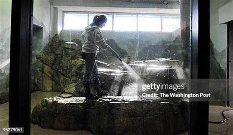 25 Becky Malinsky Photos And High Res Pictures Getty Images