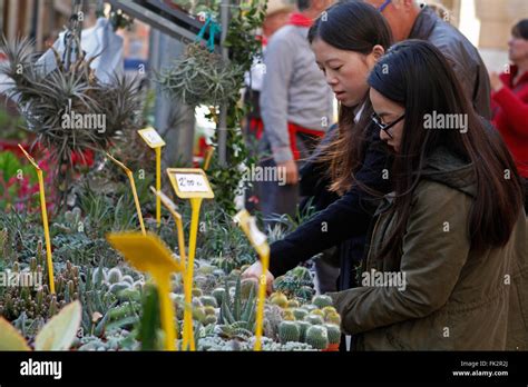 Filles Japonaises Banque De Photographies Et Dimages Haute