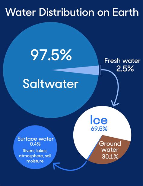 Water Distribution On Earth Infographic