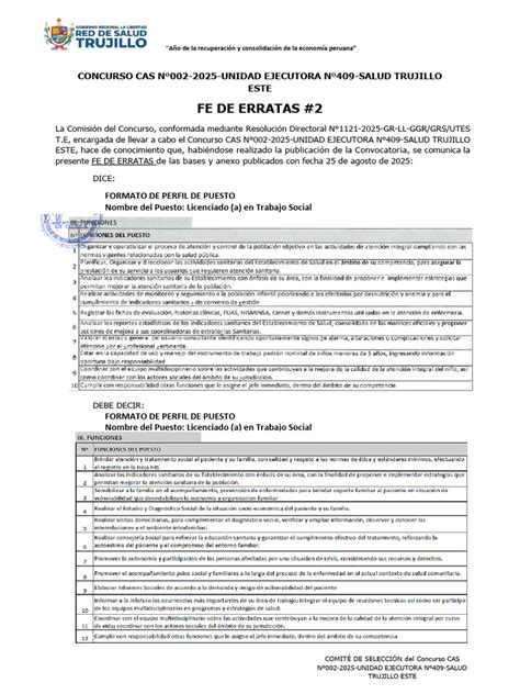 Fe De Erratas 02 Perfil Trabajador Social Pdf