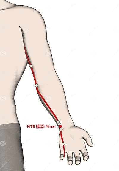 Drawing Acupuncture Point Ht6 Yinxi 3d Illustration Stock Illustration