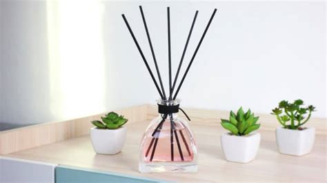 10 Rekomendasi Reed Diffuser Terbaik Terbaru 2023 Ceklistid