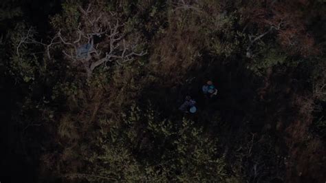 Daniel Cecchetti Vaz Posted On Linkedin