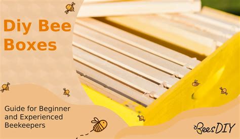 Diy Bee Boxes A Complete Guide For Beginner And Experienced Beekeepers