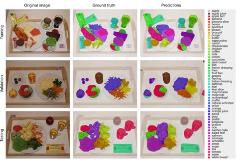 Deep Neural Networks For Image Based Dietary Assessment Scientific Article Protocol Jove