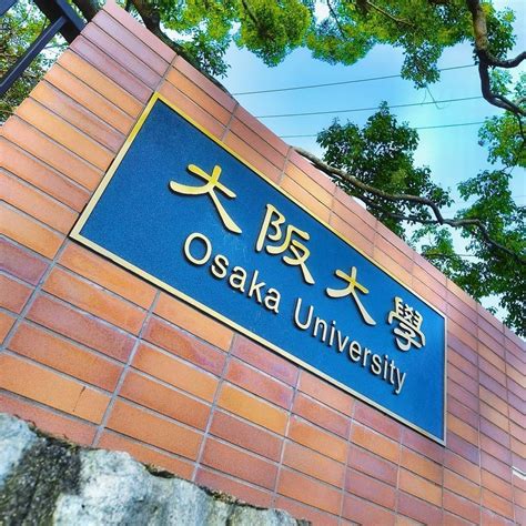 Wenjie Zhang On Linkedin Osaka University