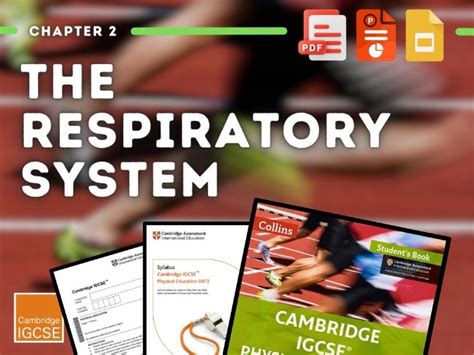 Cambridge Igcse Pe Complete Teaching Resource Chapter 2 The Respiratory System Teaching